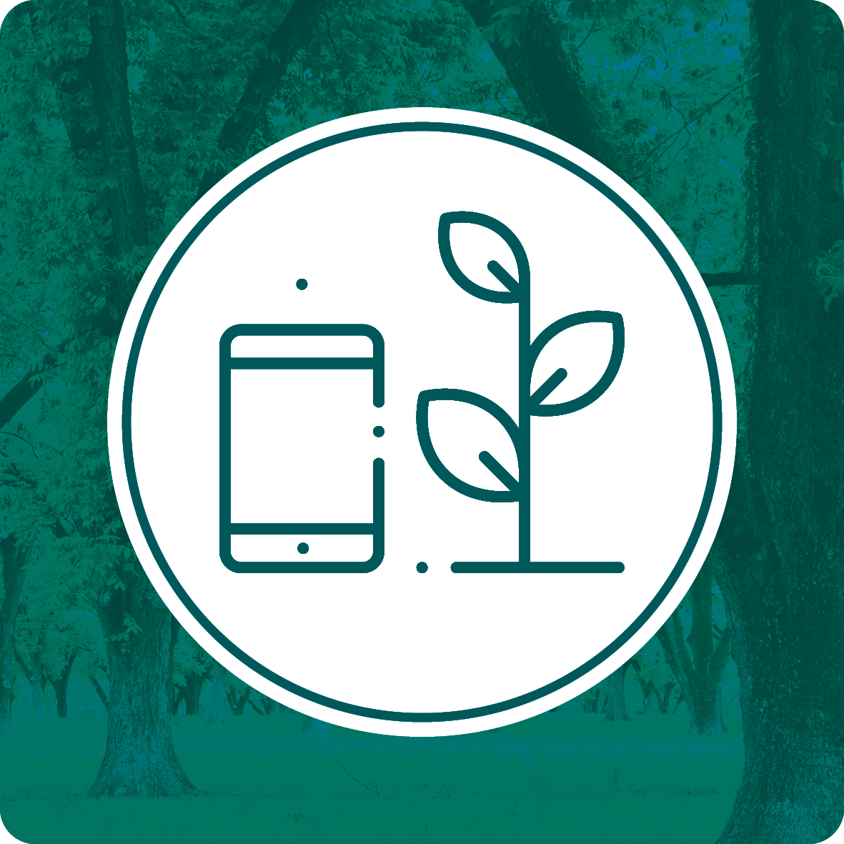 Other inputs — NSW DPIRD